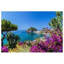 Fototapete papermoon "ISCHIA ITALIEN-BOUGANVILLA INSEL MEER BLUME FELSEN WALD", bunt, B:2,5m L:1,86m, Vlies, Tapeten