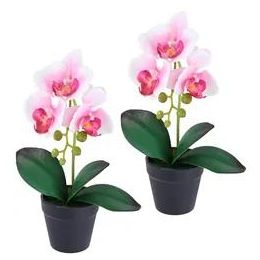 Kunstorchidee I.GE.A. "Orchidee im Topf 2er Set", rosa, B:18cm H:30cm L:9cm, Polyester, Kunstpflanzen, K&uuml;nstliche Phalaenopsis 30cm Real Touch Blume Kunstblume Seidenblume