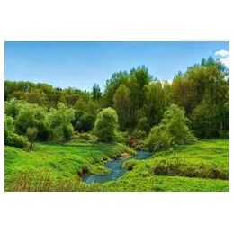 Fototapete papermoon "FLUSS IM WALD-BAUM NATUR DSCHUNGEL SONNE WEG WASSERFALL", bunt, B:3,5m L:2,6m, Vlies, Tapeten