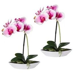 Kunstorchidee Creativ green "Phalaenopsis", lila (wei&szlig;, lila), B:6,5cm H:30cm L:19,5cm, Kunststoff, Kunstpflanzen, 2er Set, in Kunststoffschale