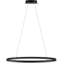 Paul Neuhaus Pendelleuchte "TITUS", grau (anthrazit), 1, &Oslash; 80cm, 1 Stk., Leuchten, LED, dimmbar, Simply Dim, Memory, nach Trennung vom Netz, Pendelleuchte
