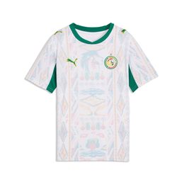 Trainingsshirt Puma "Senegal 2026 Heimtrikot Jugendliche", Jungen, Gr. 116, wei&szlig; wild gr&uuml;n, Obermaterial: 100% Polyester. Kragen: 100% Polyester. Einsatz: 100% Polyester, regular fit, Rundhals, Shirts