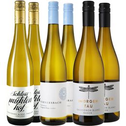Wirwinzer Select Entdecker-Paket Sauvignon Blanc Trocken - Verschiedene Regionen &ndash; Probierpaket Qualit&auml;tswein
