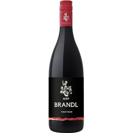 Weinhof Brandl Pinot Noir Sp&auml;tburgunder 2024 Trocken - Nieder&ouml;sterreich &ndash; Rotwein Qualit&auml;tswein