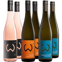 Weinhof Anton Waldsch&uuml;tz Trocken - Wagram &ndash; Probierpaket Qualit&auml;tswein