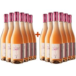 Tenute Costa 6+6 Paket Terredifiori A Mare Ros&eacute; Toscana Sangiovese 2024 Trocken - Toskana &ndash; Probierpaket IGP