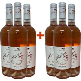 Case d&rsquo;Alto 3+3 Paket Nazar Irpinia Aglianico 2024 Trocken - Kampanien &ndash; Probierpaket DOC