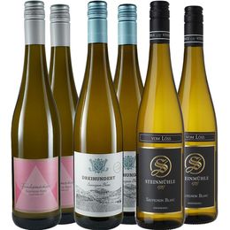 Wirwinzer Select Sauvignon Blanc Premium-Paket Trocken - Verschiedene Regionen &ndash; Probierpaket Qualit&auml;tswein