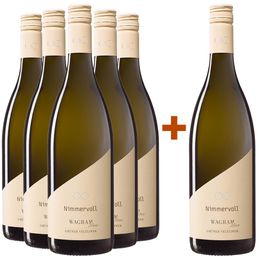 Weingut Nimmervoll 5+1 Paket Gr&uuml;ner Veltiner "Wagraml&ouml;ss" Veltliner 2024 Trocken - Wagram &ndash; Probierpaket Qualit&auml;tswein
