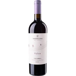 Maddalona Del Casato Pulice Calabria Rosso Cuv&eacute;e 2024 Trocken - Kalabrien &ndash; Rotwein IGP