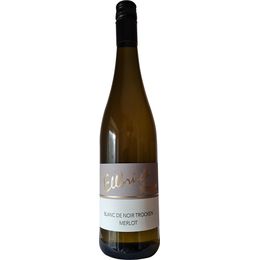Weingut Ellbr&uuml;ck Weingut Ellbr&uuml;ck Merlot 2024 Trocken - Pfalz &ndash; Blanc de Noir Qualit&auml;tswein