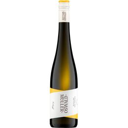 Weingut Oswald vom Porphyr Riesling 2025 Trocken - Rheinhessen &ndash; Wei&szlig;wein Qualit&auml;tswein