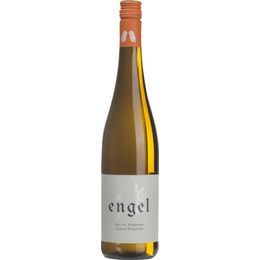 Weingut Engel Albrecht Weisser & Grauer Burgunder Cuv&eacute;e 2024 Feinherb - Rheinhessen &ndash; Wei&szlig;wein Qualit&auml;tswein