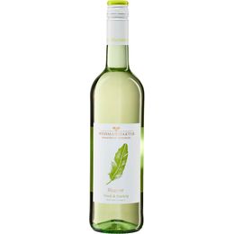 Weinmanufaktur Gengenbach "Gl&uuml;cksfeder" Rivaner M&uuml;ller-Thurgau / 2024 Feinherb - Baden &ndash; Wei&szlig;wein Qualit&auml;tswein
