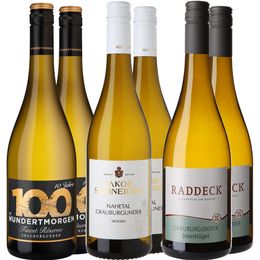 Wirwinzer Select Grauburgunder Premium-Paket 2025 - Verschiedene Regionen &ndash; Probierpaket Qualit&auml;tswein