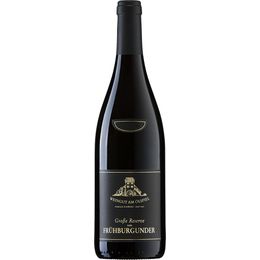 Weingut am &Ouml;lspiel Gro&szlig;e Reserve Fr&uuml;hburgunder 2023 Trocken - Franken &ndash; Rotwein Qualit&auml;tswein