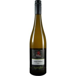Weingut H&auml;u&szlig;er Weingut H&auml;u&szlig;er INSTINKT Gr&uuml;ner Veltliner 2024 Trocken - W&uuml;rttemberg &ndash; Wei&szlig;wein Qualit&auml;tswein