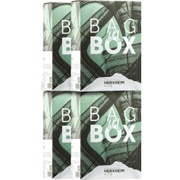 Winzergenossenschaft Herxheim am Berg 4er Paket Bag-in-Box Riesling 2025 Trocken - Pfalz &ndash; Probierpaket Qualit&auml;tswein