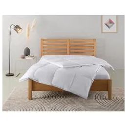 Daunenbettdecke OTTO HOME "Moulle, Bettdecke 135x200 cm und 155x220 cm", wei&szlig;, B:155cm L:220cm, Bezug: 100% Baumwolle. F&uuml;llung: 90% Daunen, 10% Federn, Bettdecken, Bettdecken, Sommer oder Winter, Decke, Made in Germany, atmungsaktiv