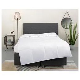 Daunenbettdecke OTTO HOME "Cyra, Bettdecke 135x200 cm, 155x220 cm", wei&szlig;, B:155cm L:220cm, Bezug: 100% Baumwolle. F&uuml;llung: 70% Entendaune, 30% Entenfeder, Bettdecken, wo besonders auf artgerechte Haltung der Tiere geachtet wird