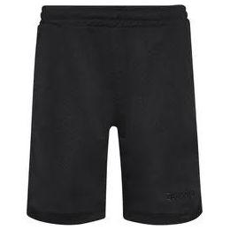 Shorts DROPSIZE "Dropsize Herren Dropsize V2 Mesh Shorts", Herren, Gr. S, US-Gr&ouml;&szlig;en, schwarz, 100% Polyester, normal, Hosen Shorts