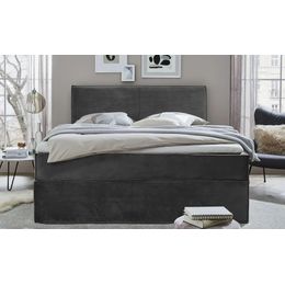 Boxi Boxspringbett 160 x 200 cm Boxi grau Ma&szlig;e (cm): B: 160 H: 125 &raquo; M&ouml;bel Kraft