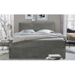Boxi Boxspringbett 160 x 200 cm Boxi grau Ma&szlig;e (cm): B: 160 H: 125 &raquo; M&ouml;bel Kraft