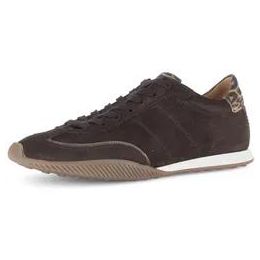 Sneaker Gabor "Sneaker low", Herren, Gr. 42, braun, Schuhe Sneaker