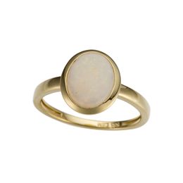 Goldring Firetti "Schmuck Geschenk Gold 585 Damenring Goldring Edelstein Farbstein" Gr. 17, gold (gelbgoldfarben, wei&szlig;), Fingerringe, Damen, 17, Gelbgold 585, 2mm, Goldring, mit Opal