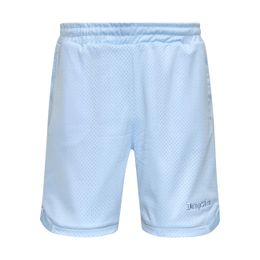 Shorts DROPSIZE "Dropsize Herren Dropsize V2 Mesh Shorts", Herren, Gr. L, US-Gr&ouml;&szlig;en, baby blau, 100% Polyester, normal, Hosen Shorts