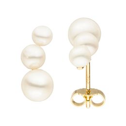 Perlenohrringe Jobo "Ohrringe mit 6 Perlen 17 mm", gelbgold 585, Ohrringe, Damen, Gelbgold 585 Perlen, Gelbgold 585, Perlen, 14 Karat 585 Gold