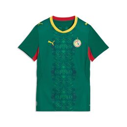 Trainingsshirt Puma "Senegal 2026 Ausw&auml;rtstrikot Damen", Damen, Gr. M, gr&uuml;n (wild gr&uuml;n rot), Obermaterial: 100% Polyester. Kragen: 100% Polyester. Einsatz: 100% Polyester, regular fit, Rundhals, Shirts