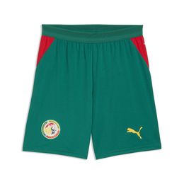 Sporthose Puma "Senegal Shorts Herren", Herren, Gr. L, Normalgr&ouml;&szlig;en, wild gr&uuml;n rot, Obermaterial: 100% Polyester. Besatz: 12% Elasthan, 88% Polyester. Einsatz: 100% Polyester, regular fit, Hosen Sporthose