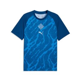 Trainingsshirt Puma "Island Aufw&auml;rmtrikot Herren", Damen, Gr. L, clyde royal haute tropic blau, Obermaterial: 100% Polyester, slim fit, Rundhals, Shirts