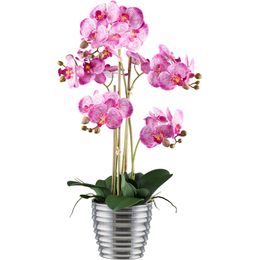 Kunstorchidee Creativ green "Orchidee Phalaenopsis", pink (cremelila), H:62cm, Kunststoff, Kunstpflanzen, Kunstorchidee, mit silberfarbenem Keramiktopf