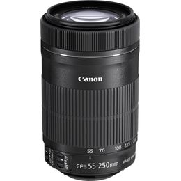 Canon EF-S 55-250mm 1:4-5,6 IS STM