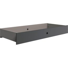 Bettschubkasten wimex "Bahamas", wahlweise grafit oder saharagrau (drehbar), B:100cm H:16cm T:60cm, Holzwerkstoff, Schubladen, Bettschubkasten