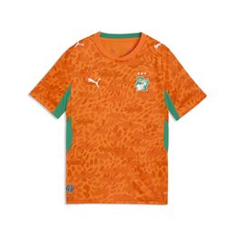 Trainingsshirt Puma "Elfenbeink&uuml;ste 2026 Heimtrikot Jugendliche", Jungen, Gr. 116, rickie orange sport gr&uuml;n, Obermaterial: 100% Polyester. Rippe: 100% Polyester. Einsatz: 100% Polyester, bedruckt, regular fit, Rundhals, Shirts
