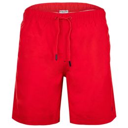U.S. Polo Assn. Swim Shorts Logo Herren Badeshorts