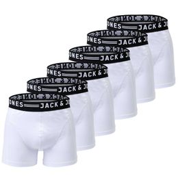 Jack & Jones SENSE TRUNKS 3 PACK Herren Boxershort