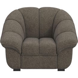 Sessel COTTA "Mado, Breite 110 cm", schoko, B:110cm H:88cm T:104cm, Sessel, Sessel, verschiedene Sofas individuell kombinierbar