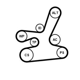 CONTINENTAL CTAM Keilrippenriemensatz 6DPK1817K1 f&uuml;r BMW 8512069 7800345 11288512069