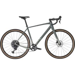 Trek Checkpoint ALR 4 Gen 3 Gravelbike Diamant 28" matte keswick green to lichen fade M | Dienstrad-Leasing m&ouml;glich