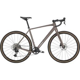 Trek Checkpoint ALR 5 Gen 3 Gravelbike Diamant 28" bronze age M | Dienstrad-Leasing m&ouml;glich