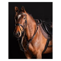 Cheval de Luxe Trensenzaum Dijon schwarz VB