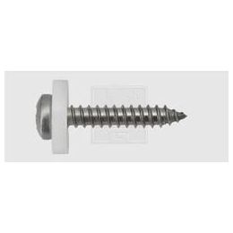 SWG 126392220 Fensterbankschraube 3.9 mm 22 mm Kreuzschlitz Pozidriv Edelstahl A2 100 St.