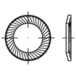 Sperrzahnscheiben 10 mm 16 mm Federstahl verzinkt 250 St. Alstertaler Schrauben & Pr&auml;zisionsteile 159355