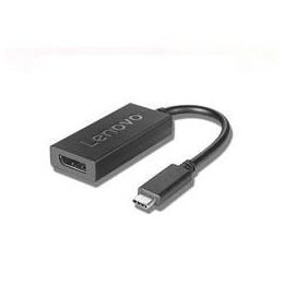 Lenovo - USB/DisplayPort-Adapter - 24 pin USB-C (M)