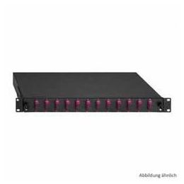 Rutenbeck 6 x SC-D OS2 gr&uuml;n LWL-Splei&szlig;box 6 Port 1 HE