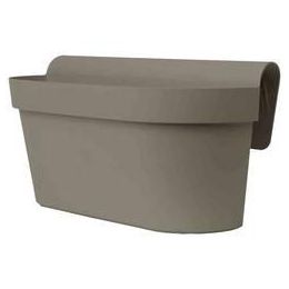 euro3plast Cassetta Up 3059.G9 Pflanzkasten Kunststoff Taupe